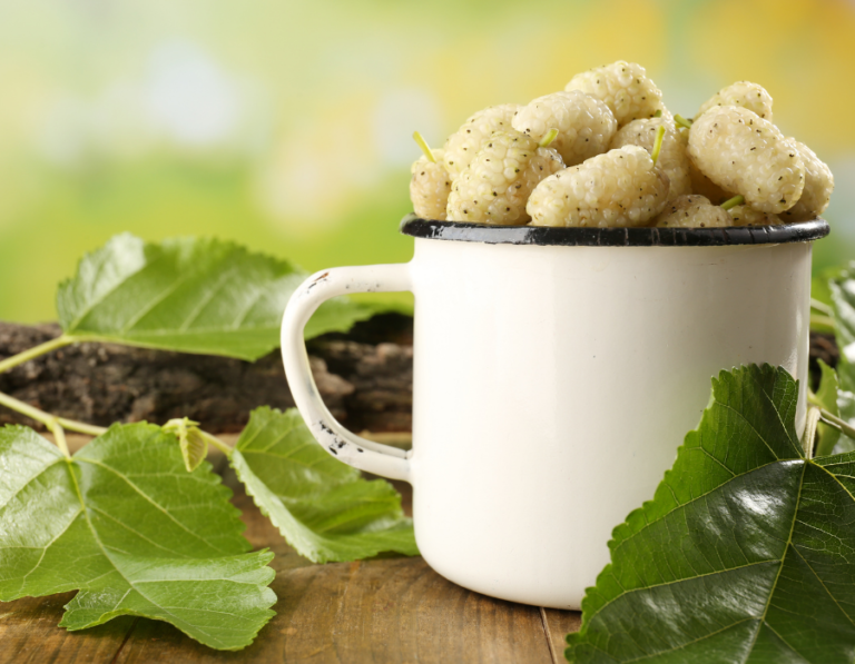 Fehér eperfa levél tea készítése • HeaveNuts